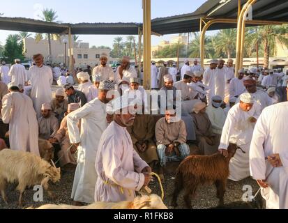 Buyers at the cattle market in Nizwa, Oman Stock Photo - Alamy