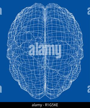 3D outline brain. Vector rendering of 3d Stock Vector Image & Art - Alamy