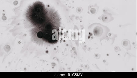 black ink drops spreads on white wet paper, wide photo Stock Photo - Alamy