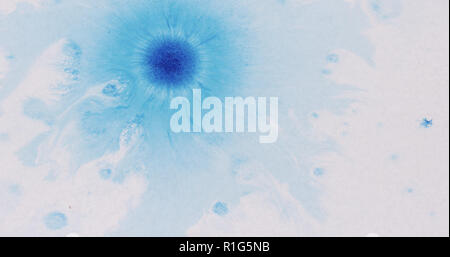 blue ink drops spreads on white wet paper, wide photo Stock Photo - Alamy