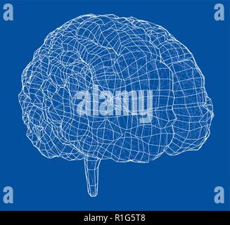 3D outline brain. Vector rendering of 3d Stock Vector Image & Art - Alamy