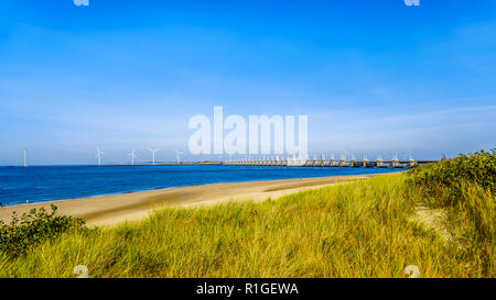 The wide and clean sandy beach at Banjaardstrand along the ...