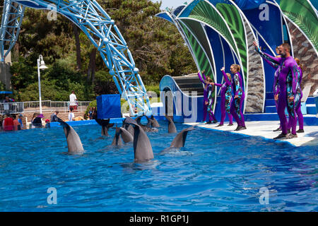 Dolphin waving goodbye with its tail Stock Photo - Alamy