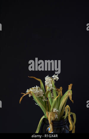 A bouquet of limp and dying flowers Stock Photo - Alamy