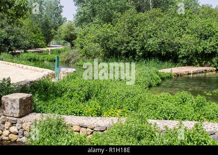 Part of the ancient Banias water gardens and pathways at the bottom of ...