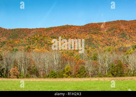 The colorful smokey mountain during fall season Stock Photo - Alamy
