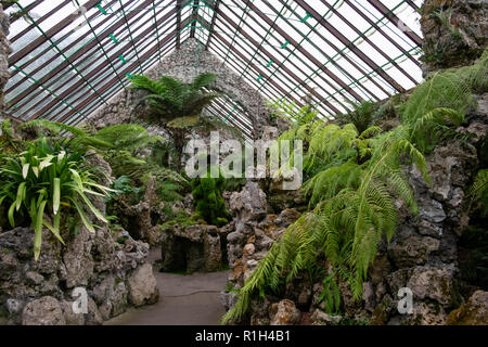 Victorian fernery at Churchtown, Southport, UK. Ferns growing in ...
