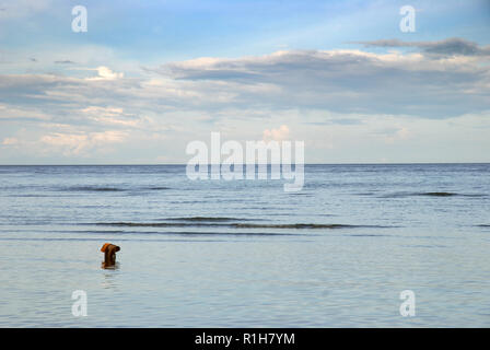 People fishing in sea, Escano Beach, Dumaguete, Negros Oriental ...