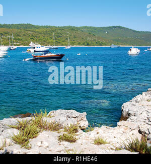 An island by sea lagoon, covered by trees Stock Photo - Alamy