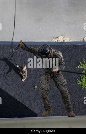 A Soldier descends the rappel tower during Air Assault School at Fort ...