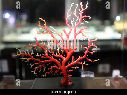 Kaohsiung, Kaohsiung, China. 13th Nov, 2018. Kaohsiung, CHINA ...