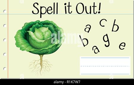 Flashcard letter C is for cabbage illustration Stock Vector Image & Art ...