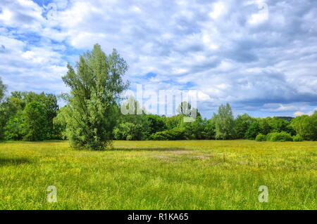 Green meadow with clouds in Aueweiher Park in Fulda, Hessen, Germany ...