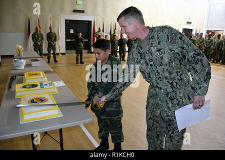 Commander Justin Collins, Commanding Officer of Naval Operational ...