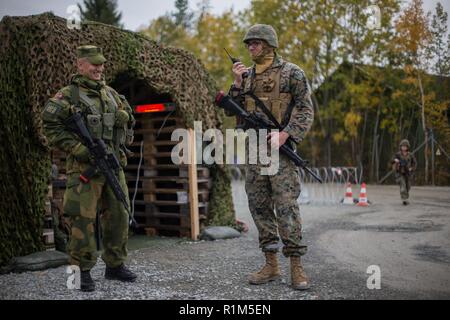 Members of the Norwegian Home Guard conduct a Situational Training ...