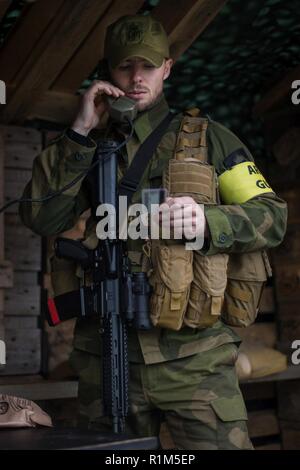 Members of the Norwegian Home Guard conduct a Situational Training ...