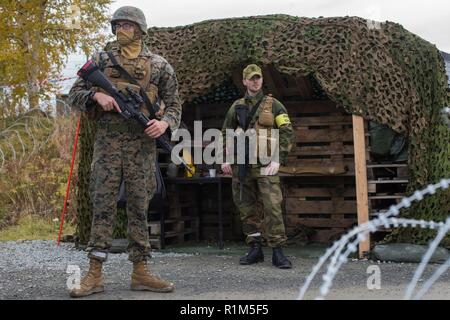 Members of the Norwegian Home Guard conduct a Situational Training ...