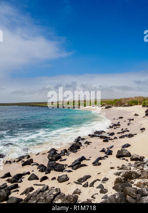 Punta Suarez, Espanola Island, Galapagos islands, Ecuador Stock Photo ...