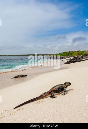 Punta Suarez coast, landscape on the island of Espanola, Galapagos ...