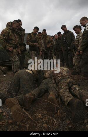 U.S. Marine Corps Cpl. Marco Alvarezlopez, a motor vehicle operator ...