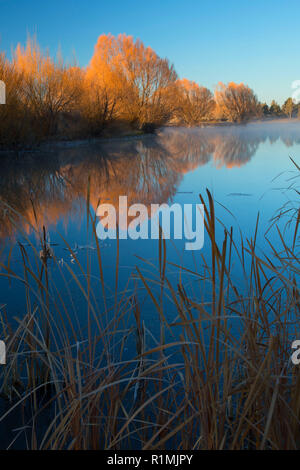 Reynolds Pond, Prineville District Bureau of Land Management, Oregon ...