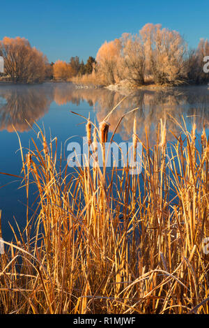 Reynolds Pond, Prineville District Bureau of Land Management, Oregon ...