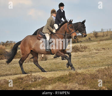 Riding to the hounds, fox hunters Stock Photo - Alamy