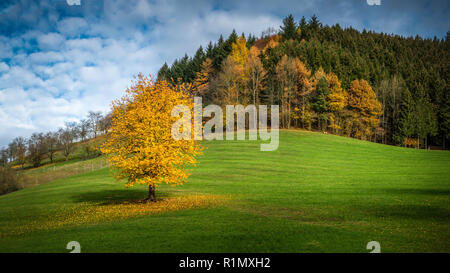 Landscape of beautiful black forest, Germany. Silhouette of hills close ...