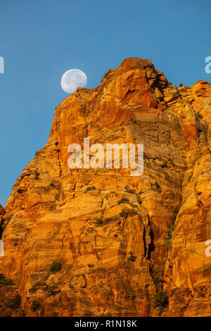 USA, Utah. Morning light with moonset at Horseshoe Bend on the Colorado ...