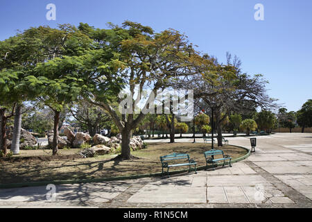 Park in Varadero cuba Stock Photo - Alamy