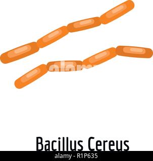 Bacillus cereus bacteria, illustration Stock Photo - Alamy