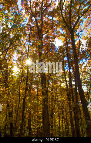 Autumn at Shale Hollow, Lewis Center, Ohio Stock Photo - Alamy