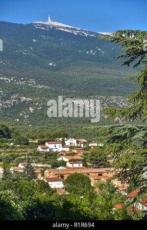 Rural landscape with Mont Ventoux mountain in morning sunrise light in ...