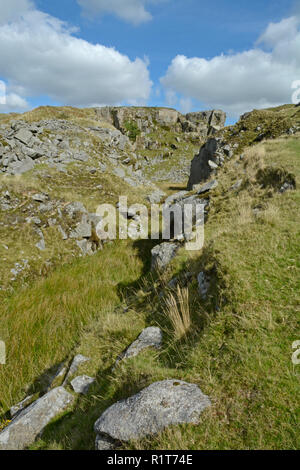 Swelltor quarry (disused) near Princetown on Dartmoor Stock Photo - Alamy