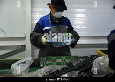 Manual waste sorting line at the mixed-waste processing facility in ...