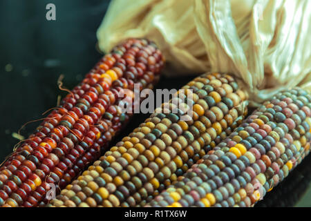Indian corn, maize (Zea mays), corn is stored in the remote village of ...
