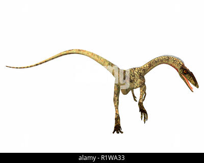Coelophysis bauri, a prehistoric era dinosaur from the Late Triassic ...