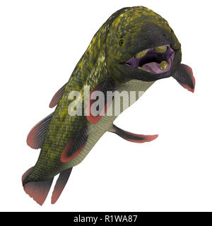 Dipterus was a freshwater fish species that lived in swamps and bayous ...