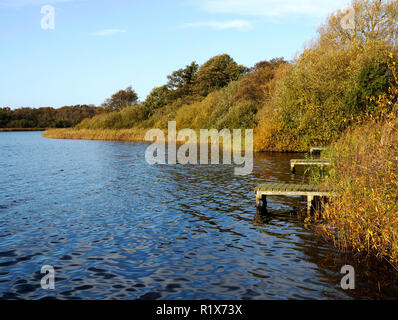 rollesby broad in the norfolk broads Stock Photo - Alamy