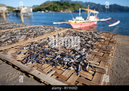 Traditional method of drying in the sun Stock Photo - Alamy