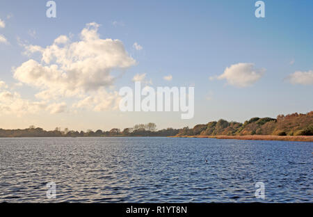 A view of the reed fringed Filby Broad on the Norfolk Broads at Filby ...