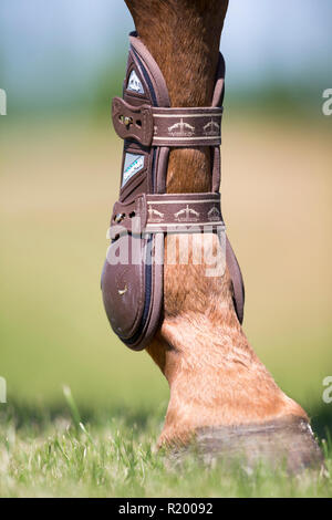 Close-up of a Leg in a Boot Kicking Football Ball. Professional Soccer ...