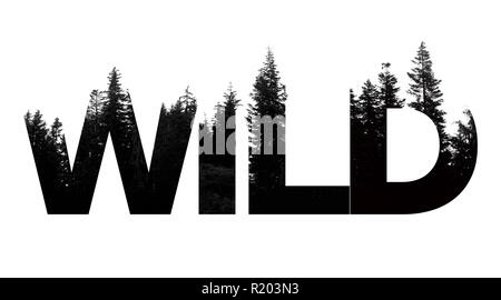 Tree lettering. Letters from Forest. Nature typography Stock Vector Art ...