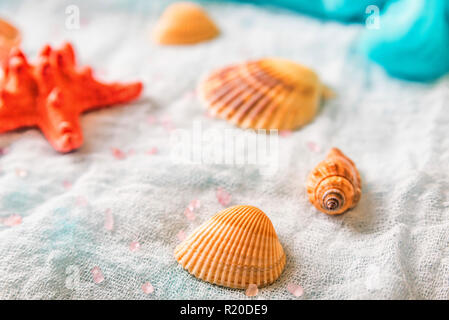Seashells and starfish on white cloth background Stock Photo - Alamy