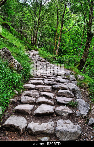STEALL FALLS NEVIS GORGE FORT WILLIAM SCOTLAND THE RIVER WATER OF NEVIS ...