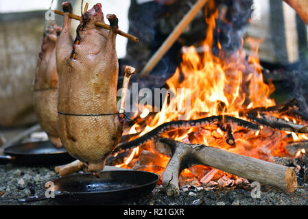 Wild Geese cooking on a fire , Indigenous Community , Northern Quebec ...