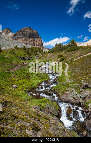 Scenic Helen Lake Green Alpine Meadow Cirque Mountain Peak Calm Water ...