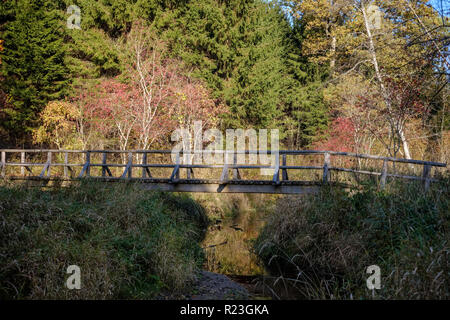 wooden and composite material foot bridge over water in green summer ...