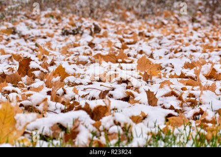A light dusting of snow on the ground at Lindisfarne Castle with the ...