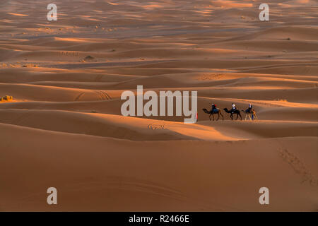 Kamel Karawane in der Wüste Sahara bei Merzouga, Marokko | Camel ...